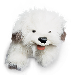 Magic Russ - Children's Entertainer & Magician