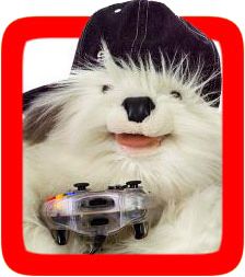 About Dave | Magic Russ - Children's Entertainer & Magician