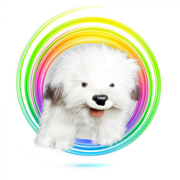 About Dave | Magic Russ - Children's Entertainer & Magician